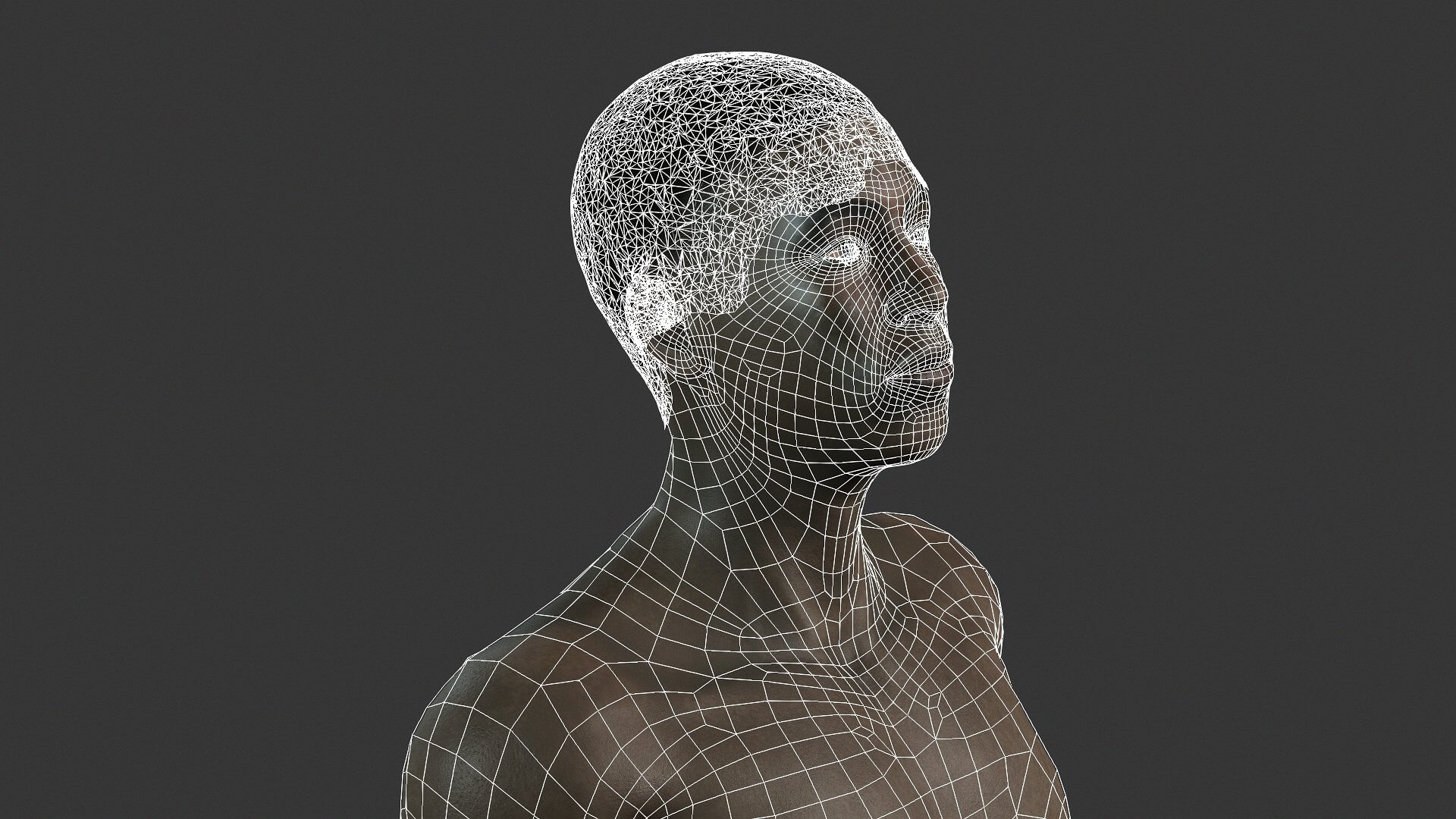 Beautiful Man - 3D Model by 123IGOR