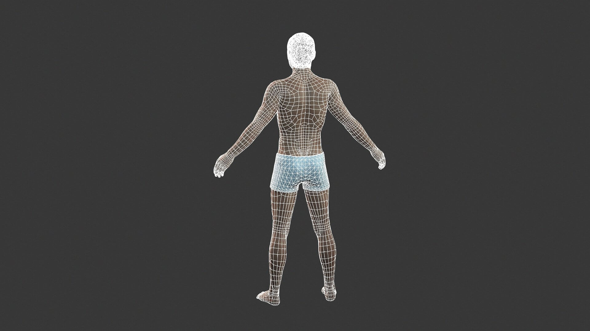 Beautiful Man - 3D Model by 123IGOR