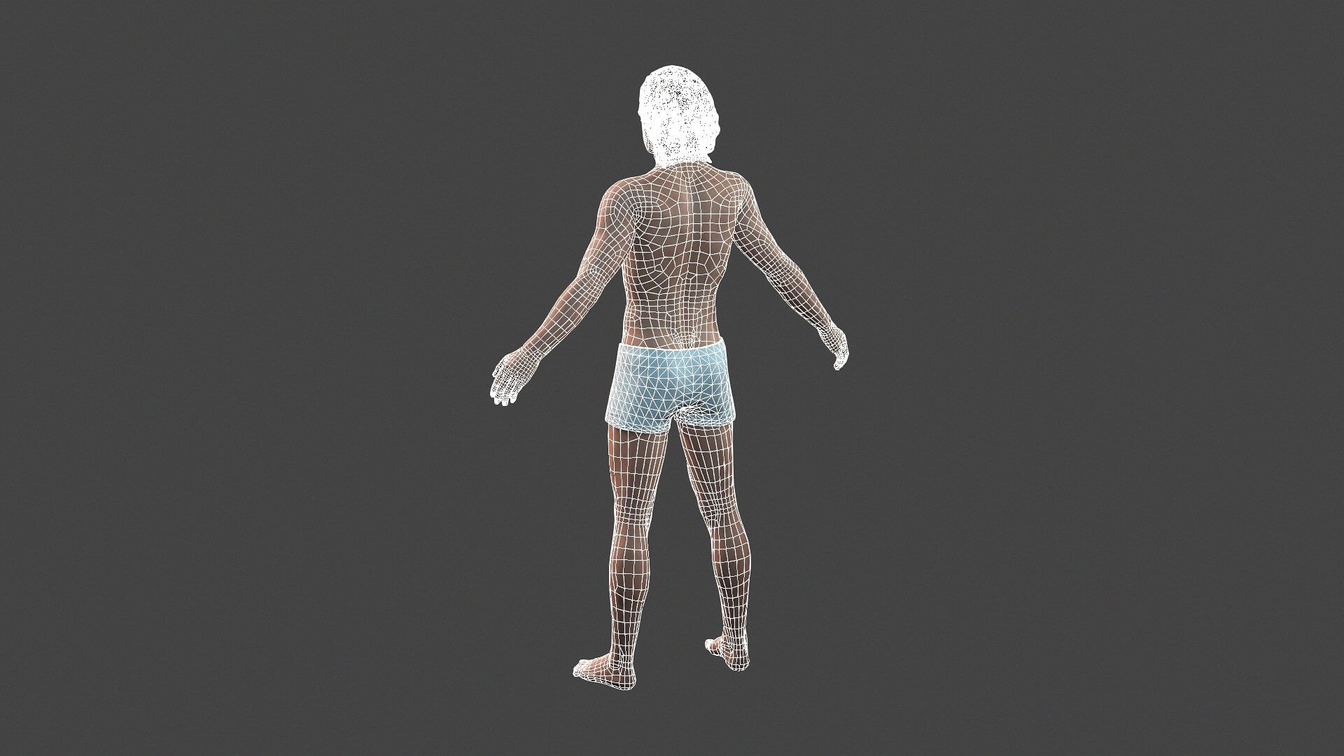Beautiful Man - 3D Model by 123IGOR