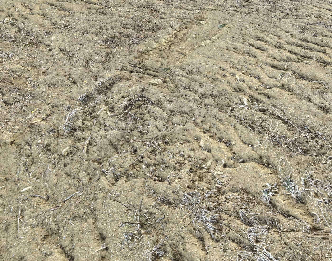 Desert Wasteland Ground PBR Pack 3 Texture by 32cm