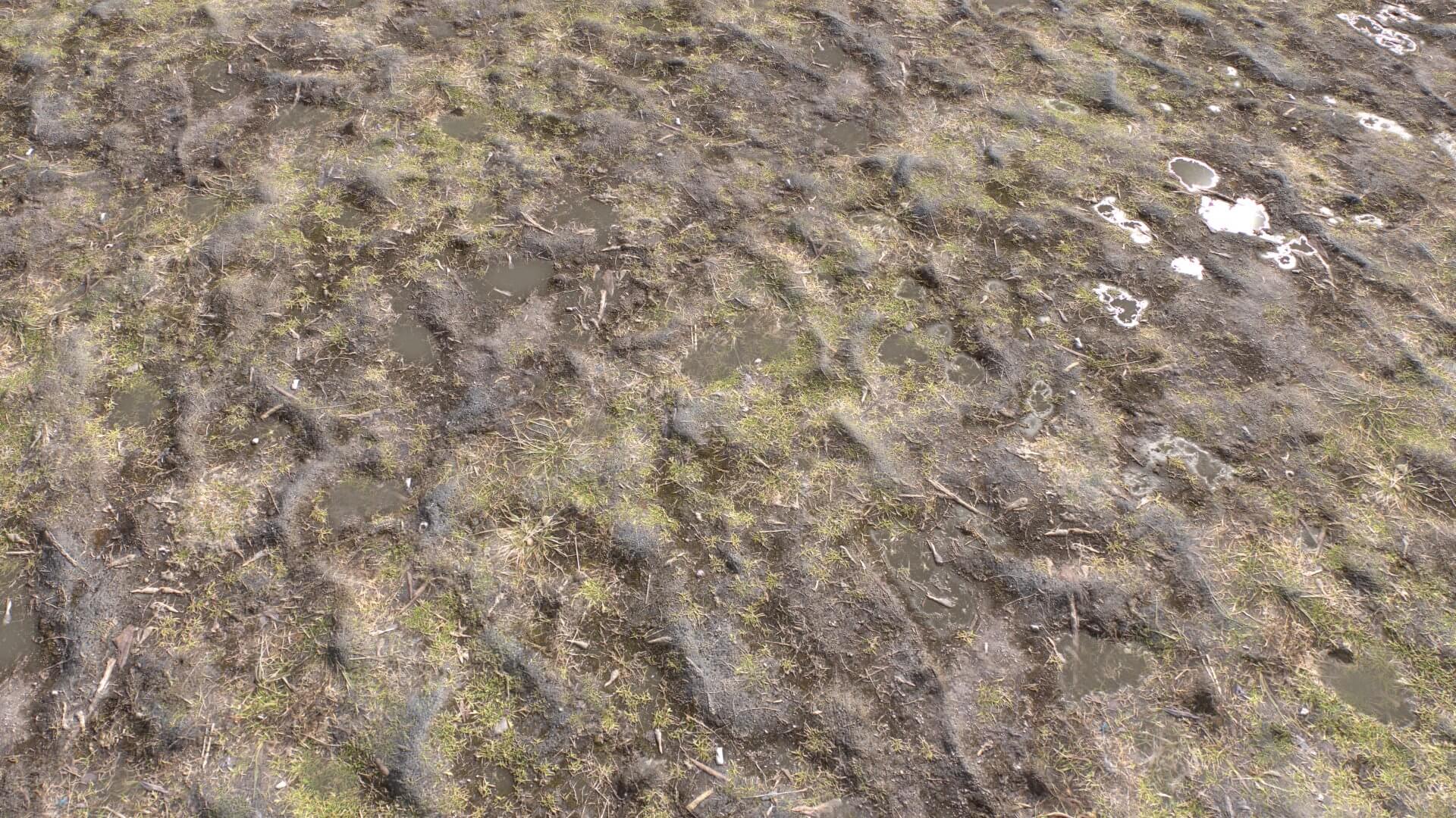 Dirt Terrain PBR Pack 17 - 3D Texture by 32cm