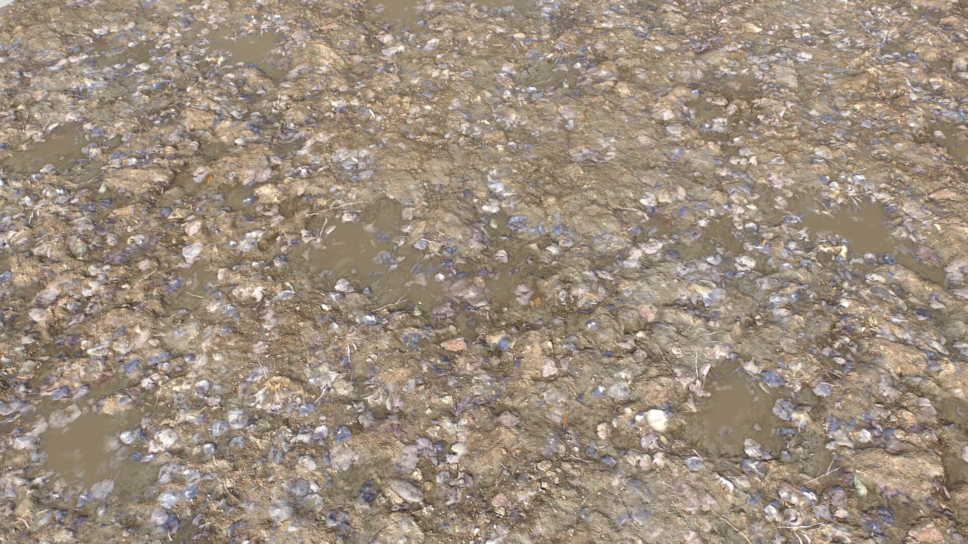 Dirt Terrain PBR Pack 18 - 3D Texture by 32cm