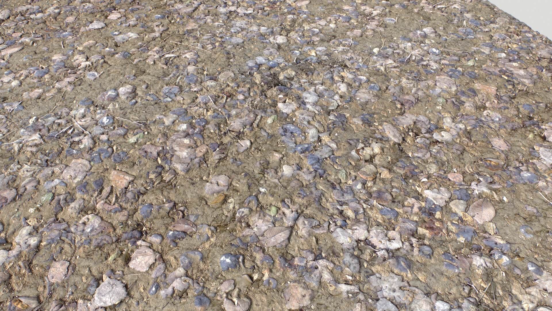 Dirt Terrain PBR Pack 20 - 3D Texture by 32cm