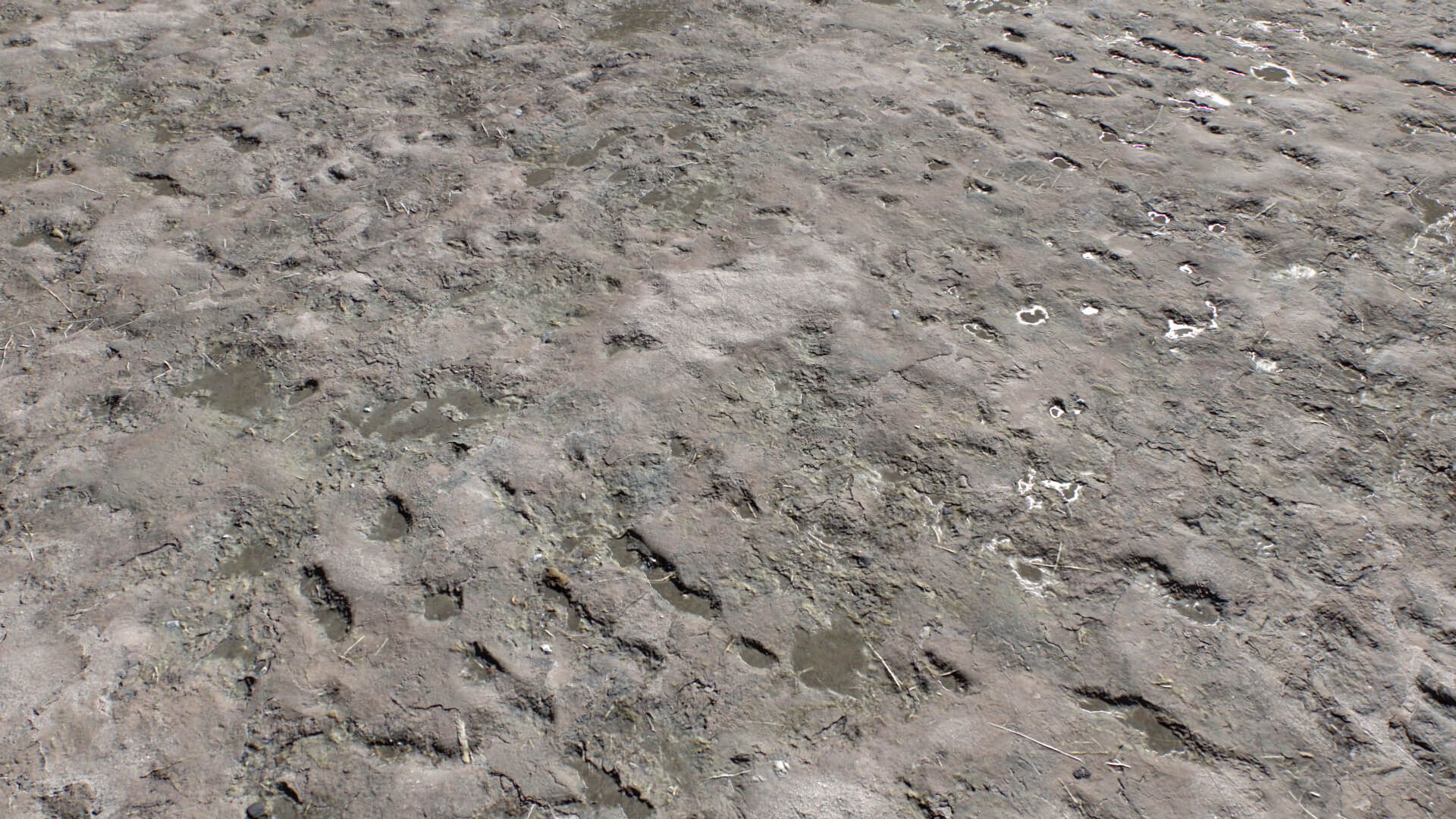 Dirty and Rough Terrain 1 - 3D Texture by 32cm