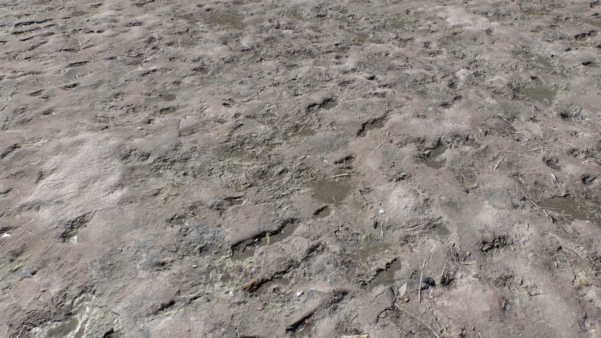 Dirty and Rough Terrain 1 - 3D Texture by 32cm