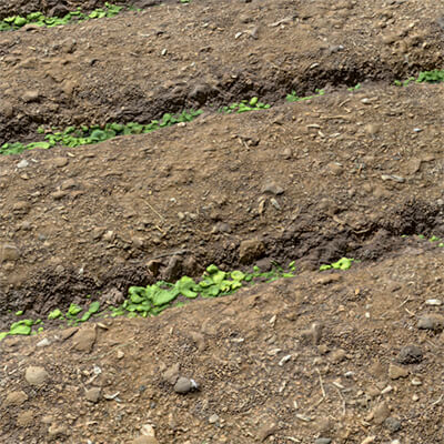 Farm Terrain Textures - 3D Texture by 32cm