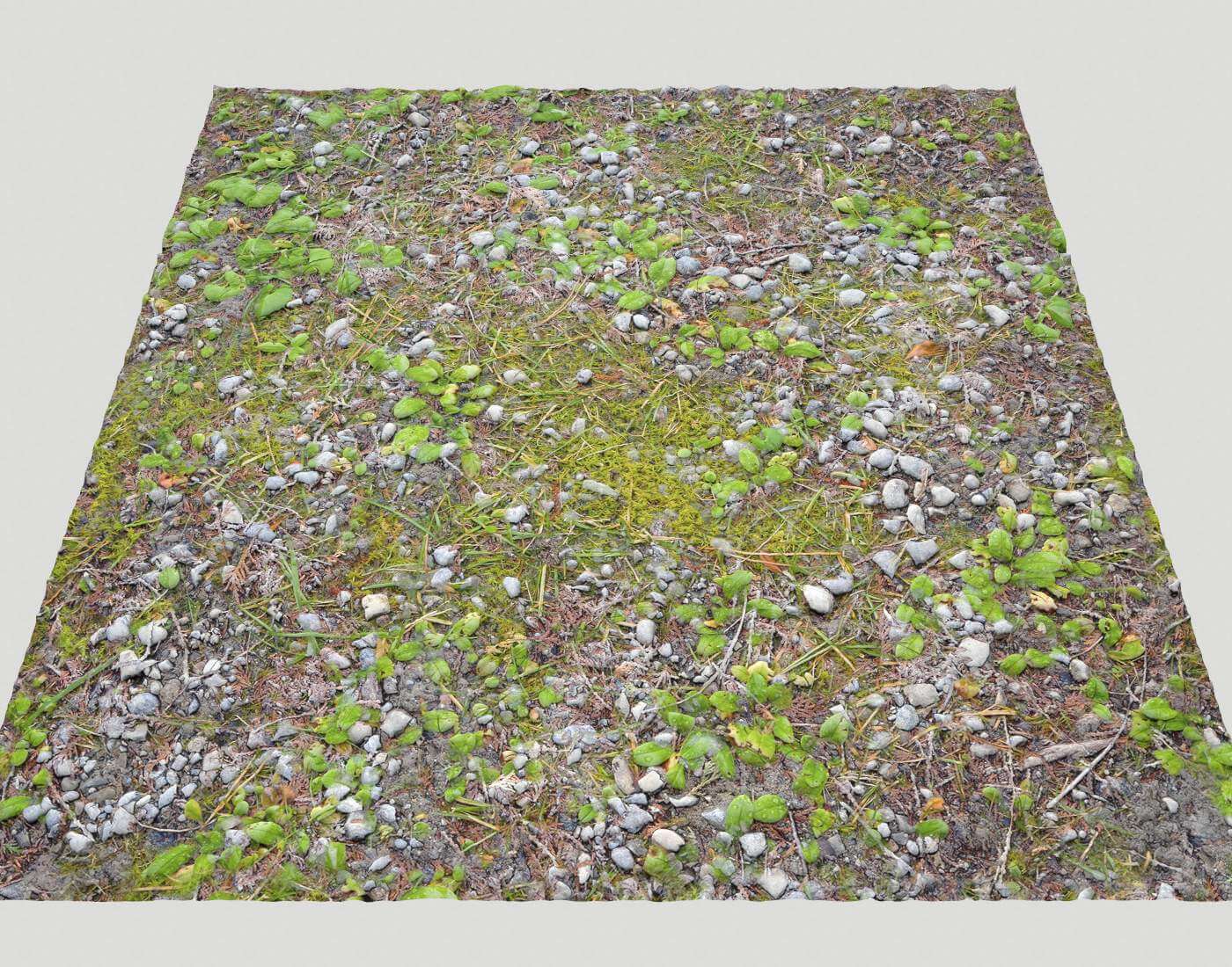 Forest Ground PBR Pack 5 - 3D Texture by 32cm