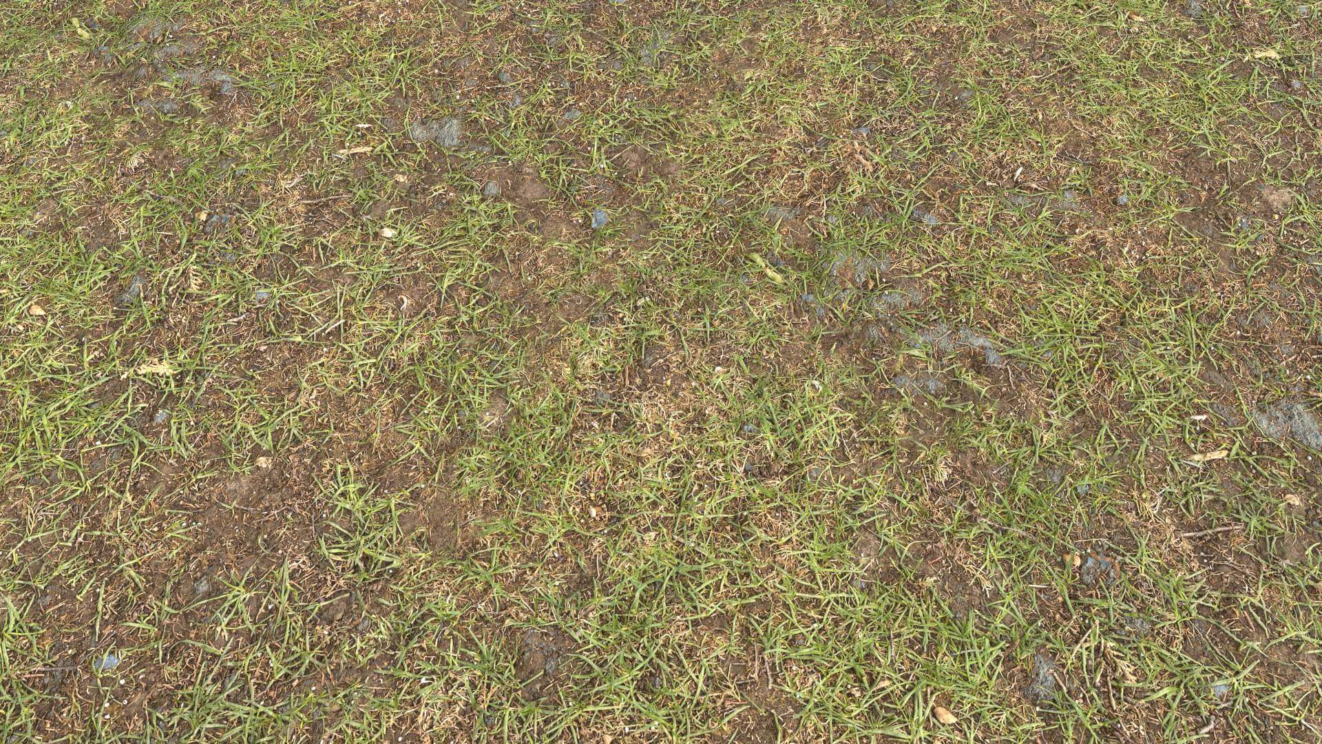 Forest Ground PBR Pack 8 - 3D Texture by 32cm