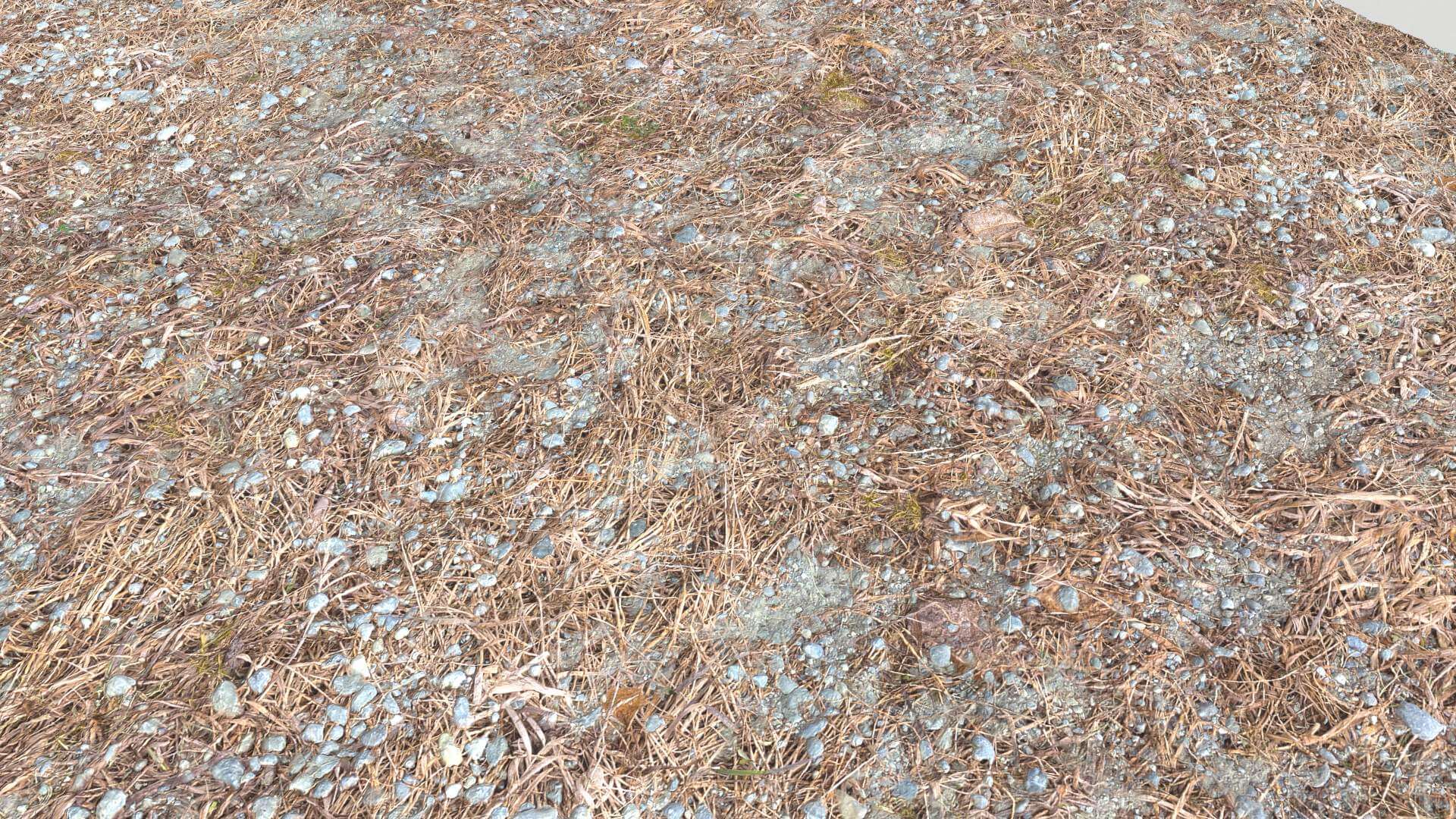 Forest Ground PBR Pack 8 - 3D Texture by 32cm