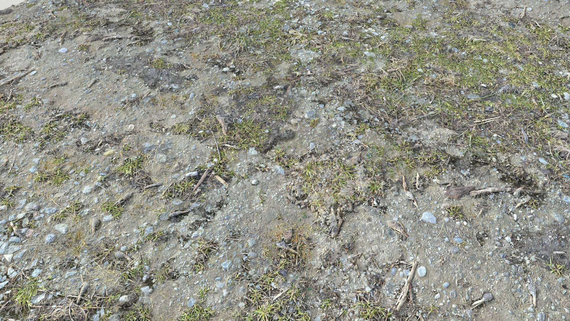 Forest Ground PBR Pack 8 - 3D Texture by 32cm