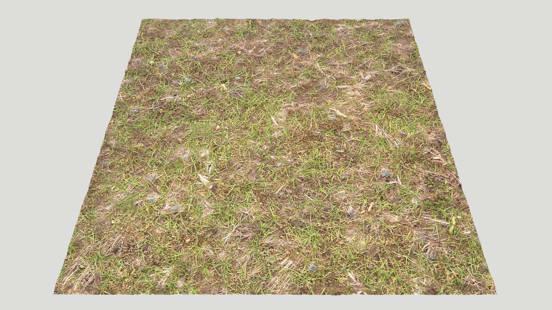 Forest Ground PBR Pack 8 - 3D Texture by 32cm