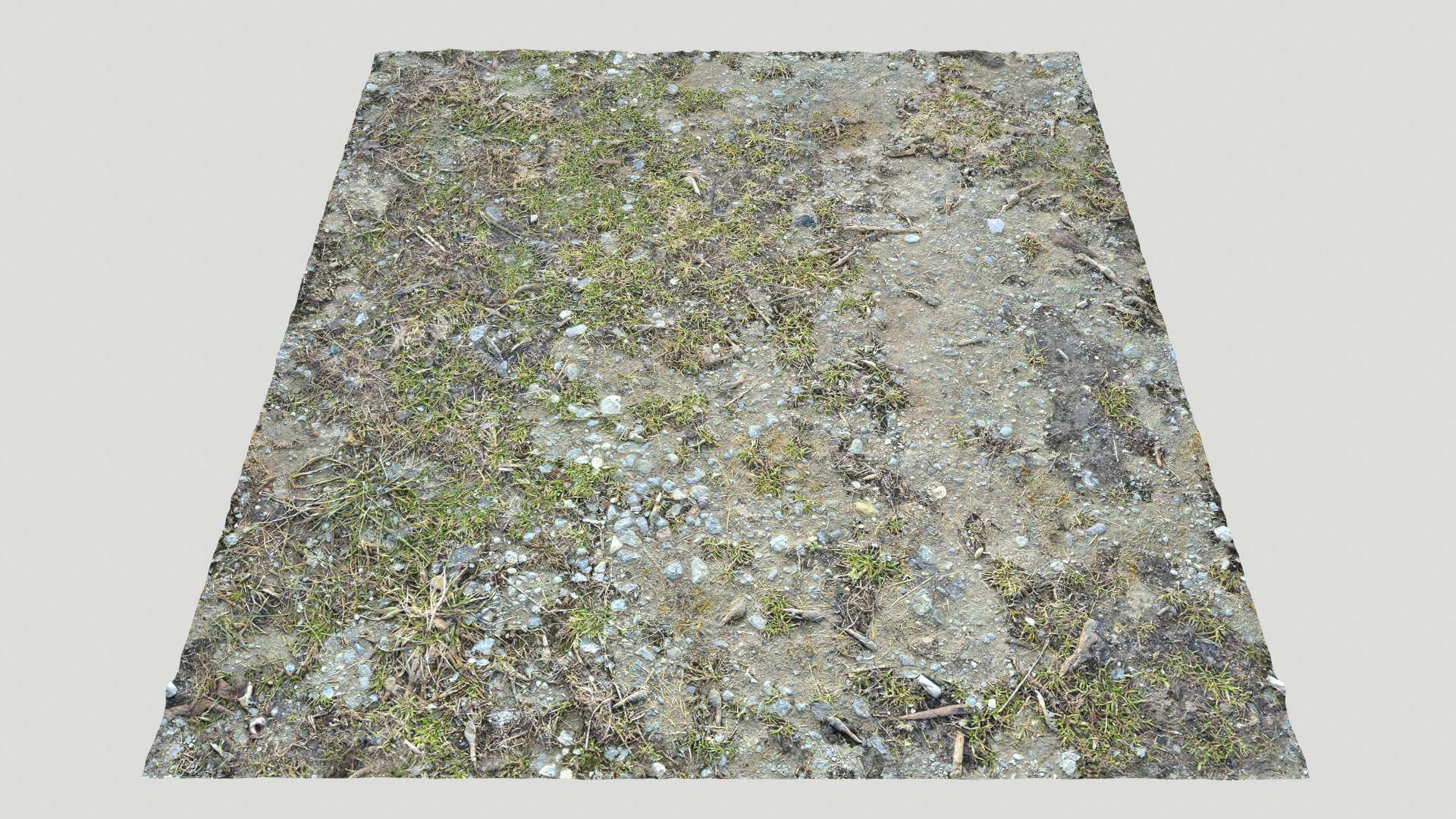 Forest Ground PBR Pack 8 - 3D Texture by 32cm
