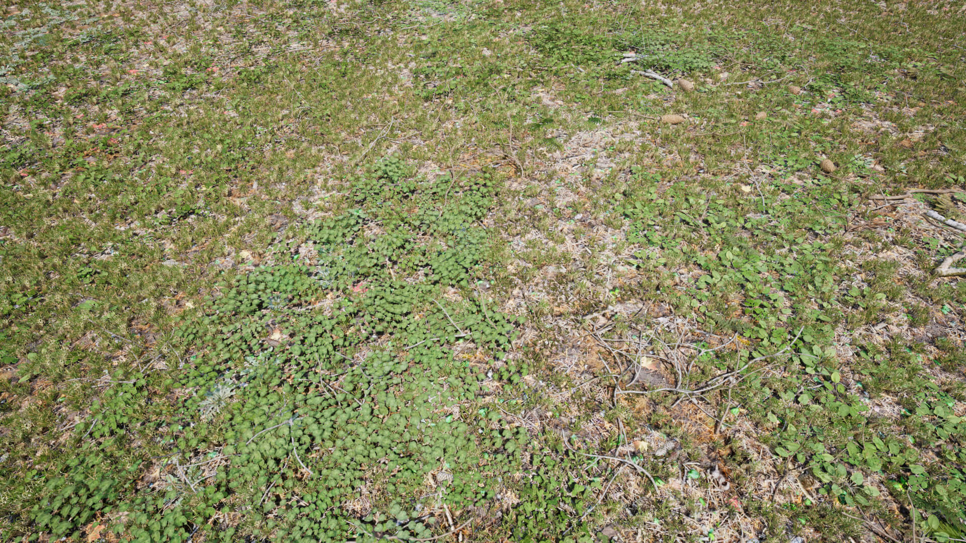 Ground Cover Foliage - 3D Model by 32cm