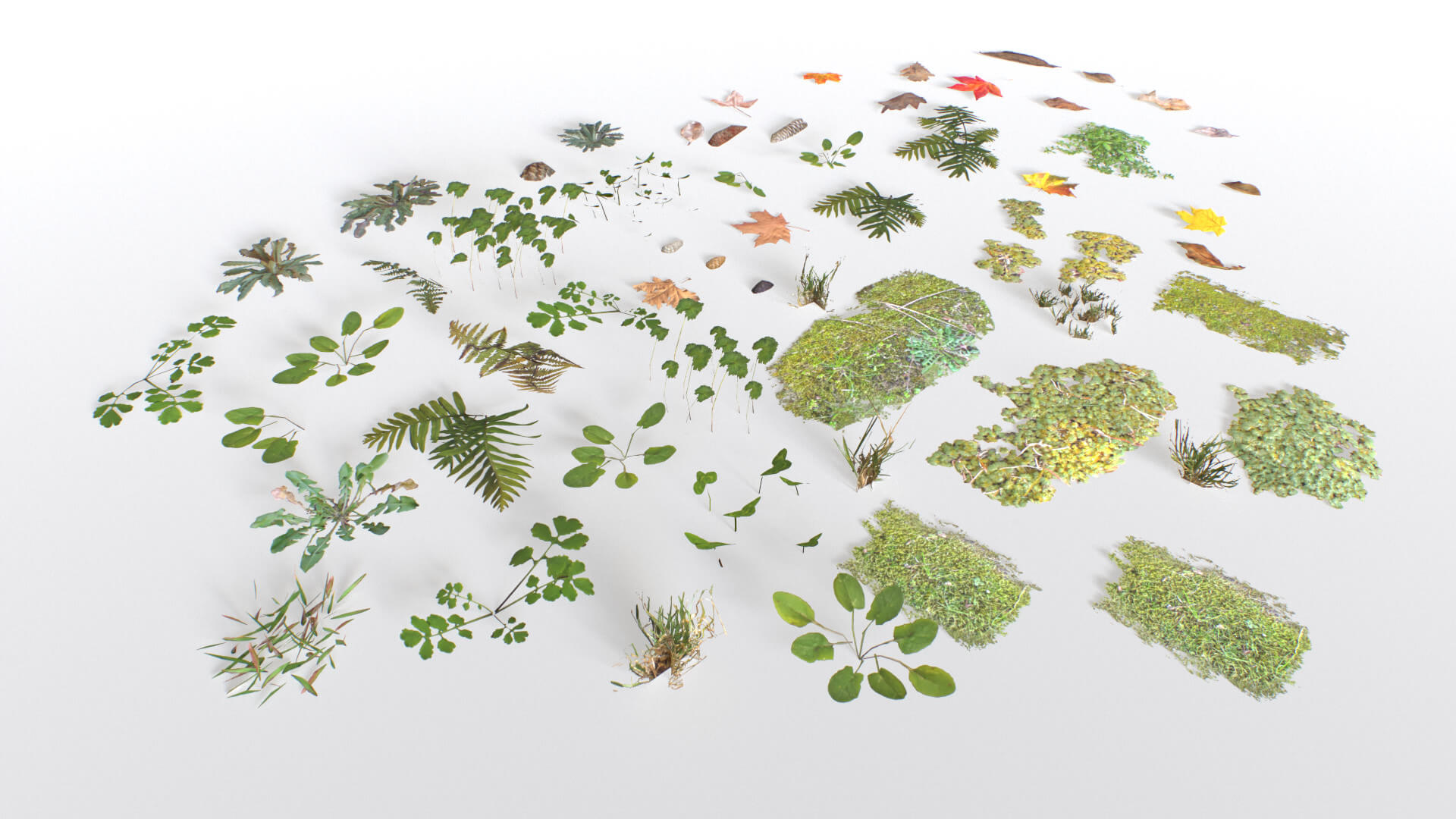 Ground Cover Foliage - 3D Model by 32cm
