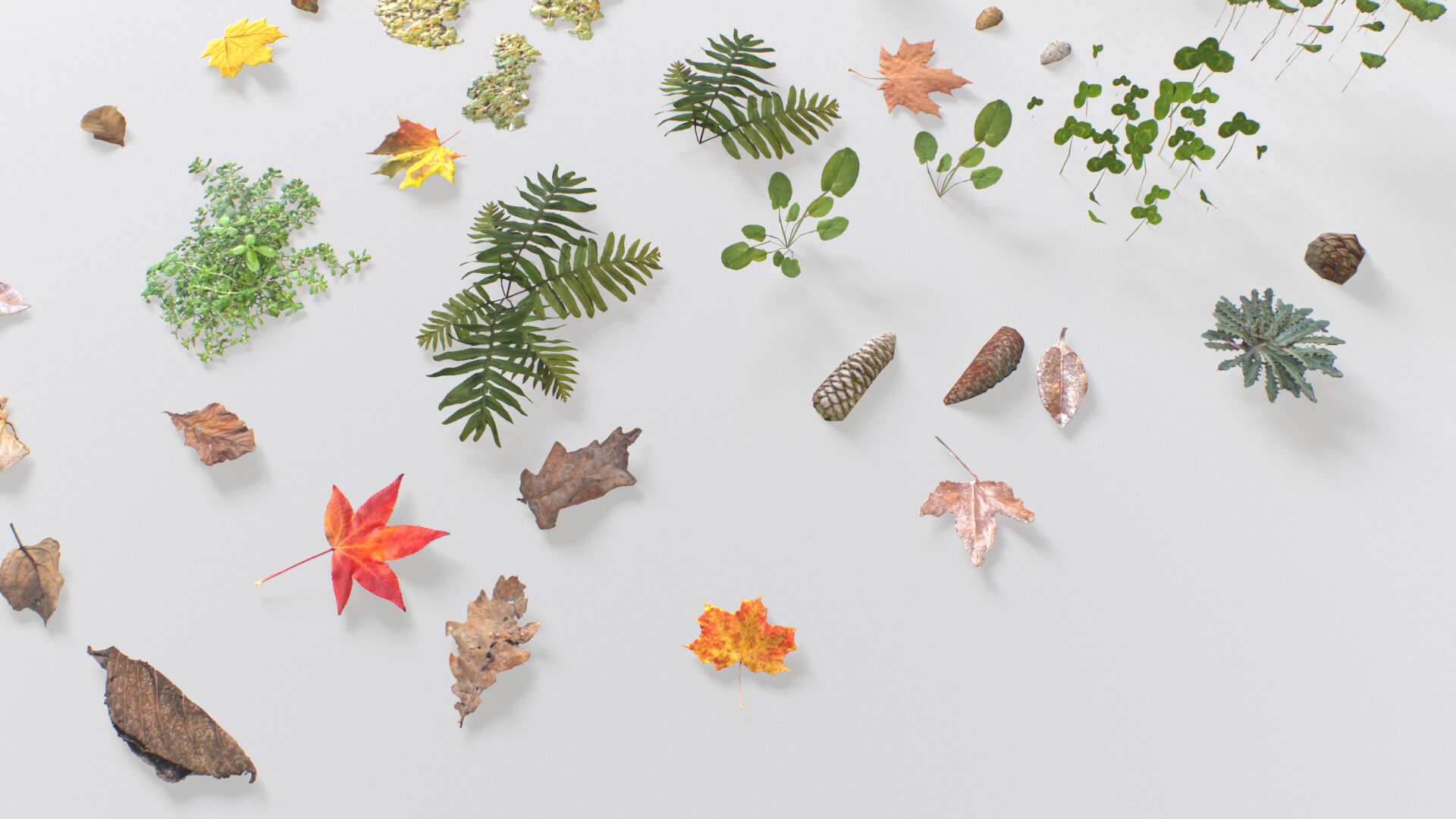 Ground Cover Foliage - 3D Model by 32cm