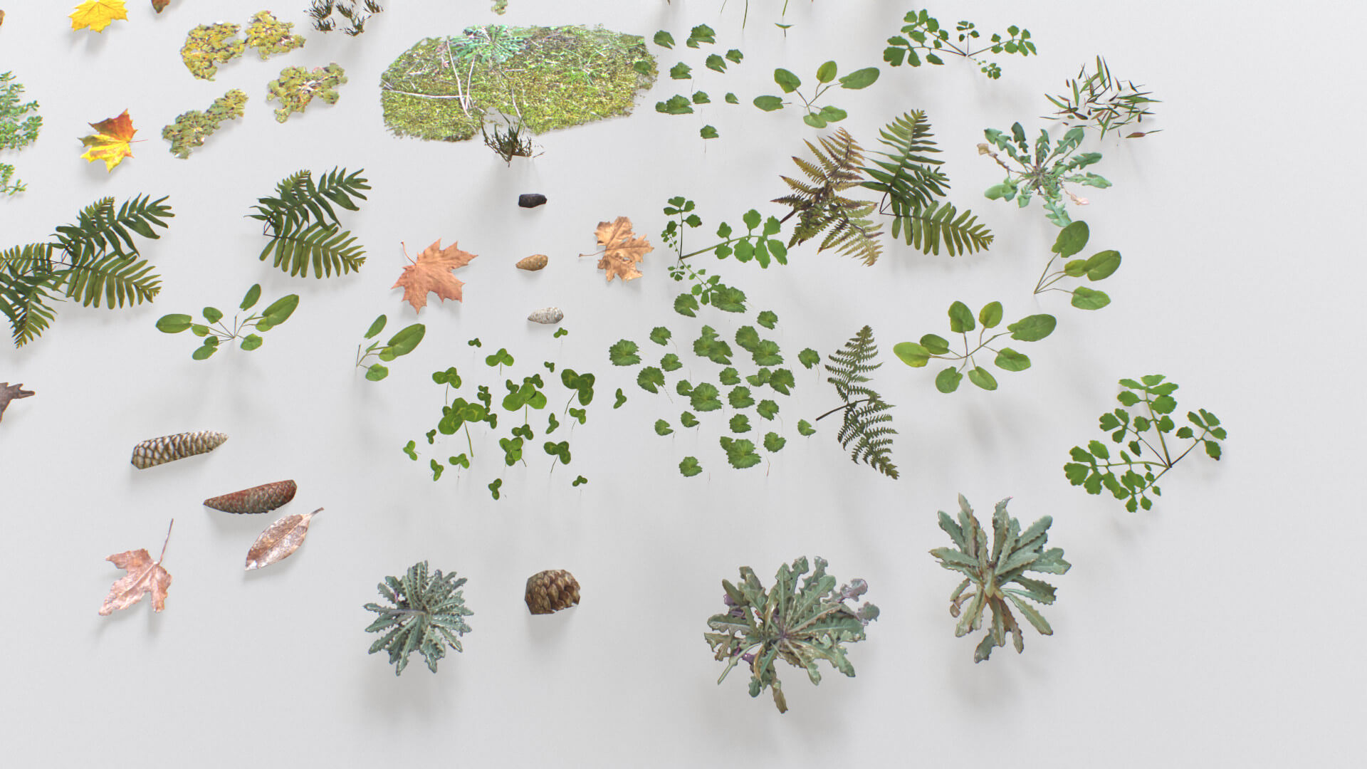 Ground Cover Foliage - 3D Model by 32cm