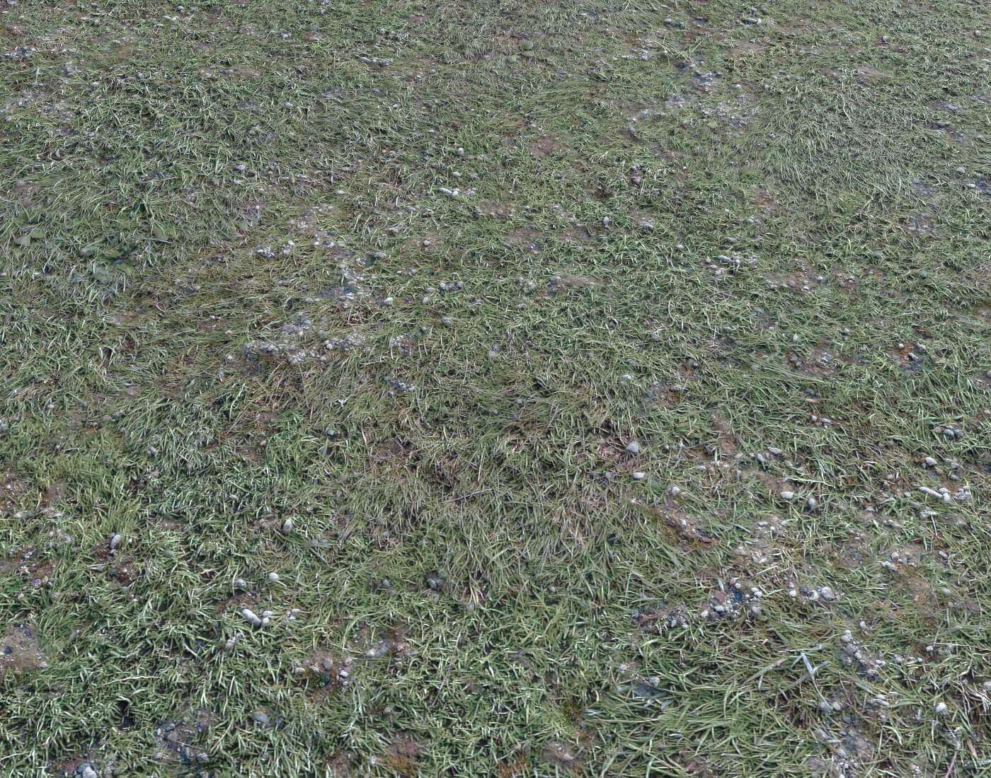 Ground Terrain Forest Tundra PBR Pack 4 - 3D Texture by 32cm