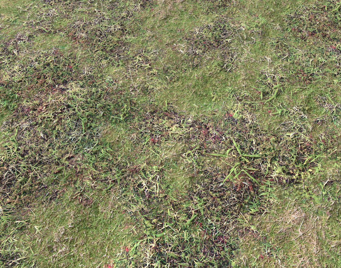 Ground Terrain Forest Tundra PBR Pack 4 - 3D Texture by 32cm