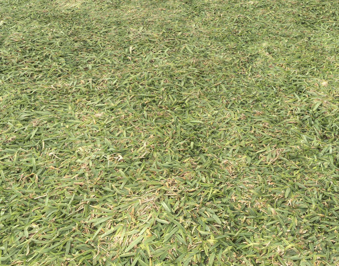 Ground Terrain Grass PBR Pack 6 - 3D Texture by 32cm