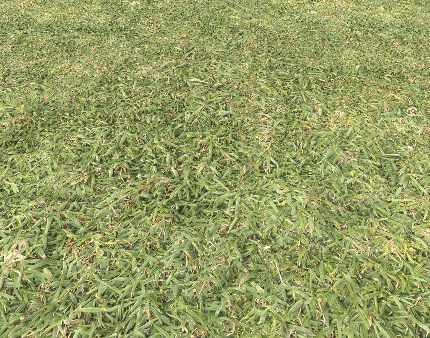 Ground Terrain Grass PBR Pack 6 - 3D Texture by 32cm