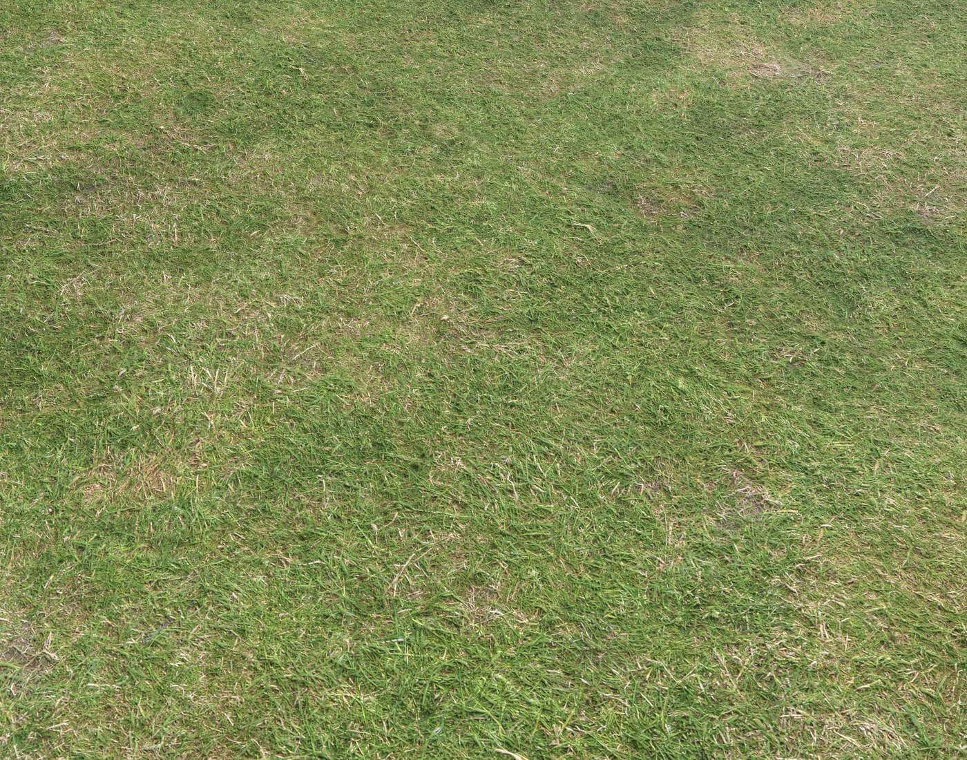 Ground Terrain Grass PBR Pack 6 - 3D Texture by 32cm