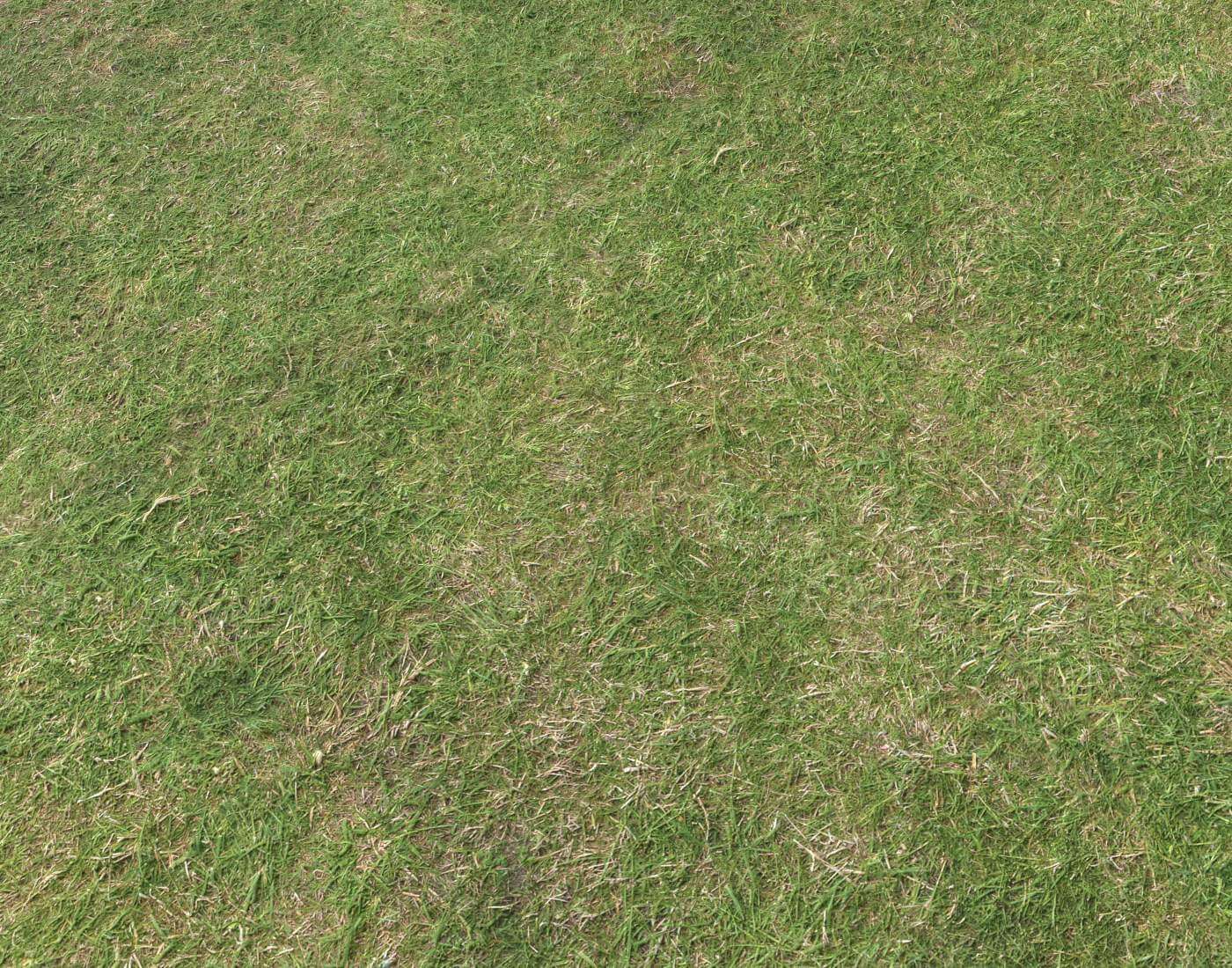 Ground Terrain Grass PBR Pack 6 - 3D Texture by 32cm