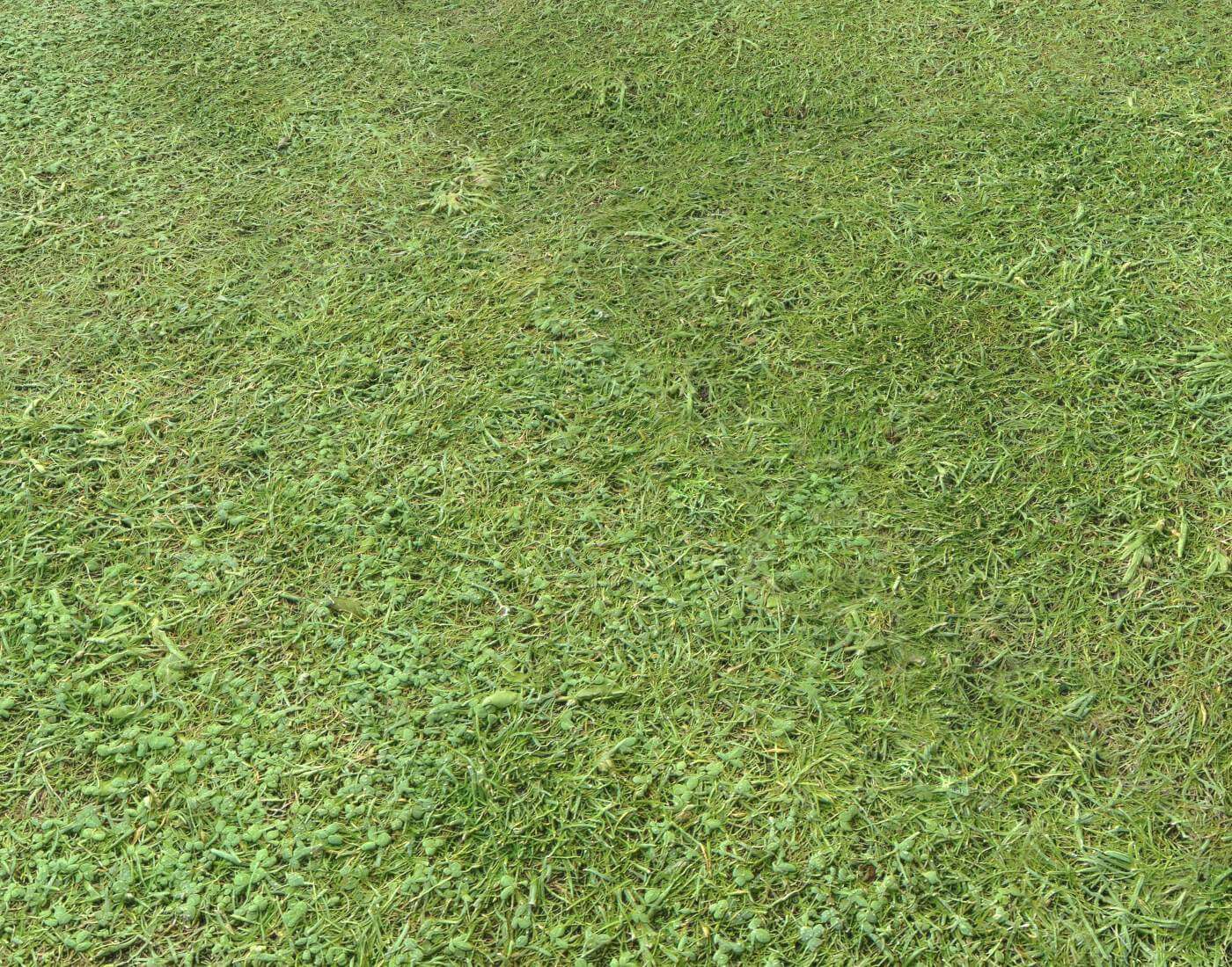 Ground Terrain Grass PBR Pack 6 - 3D Texture by 32cm