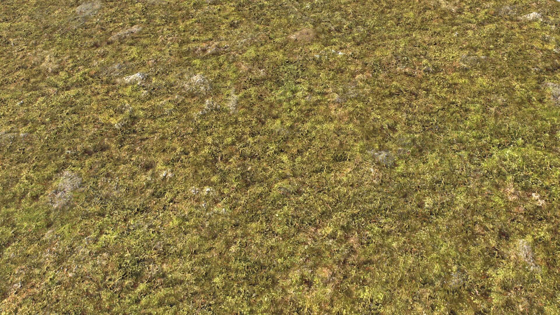 Moss Pack 1 - 3D Texture by 32cm