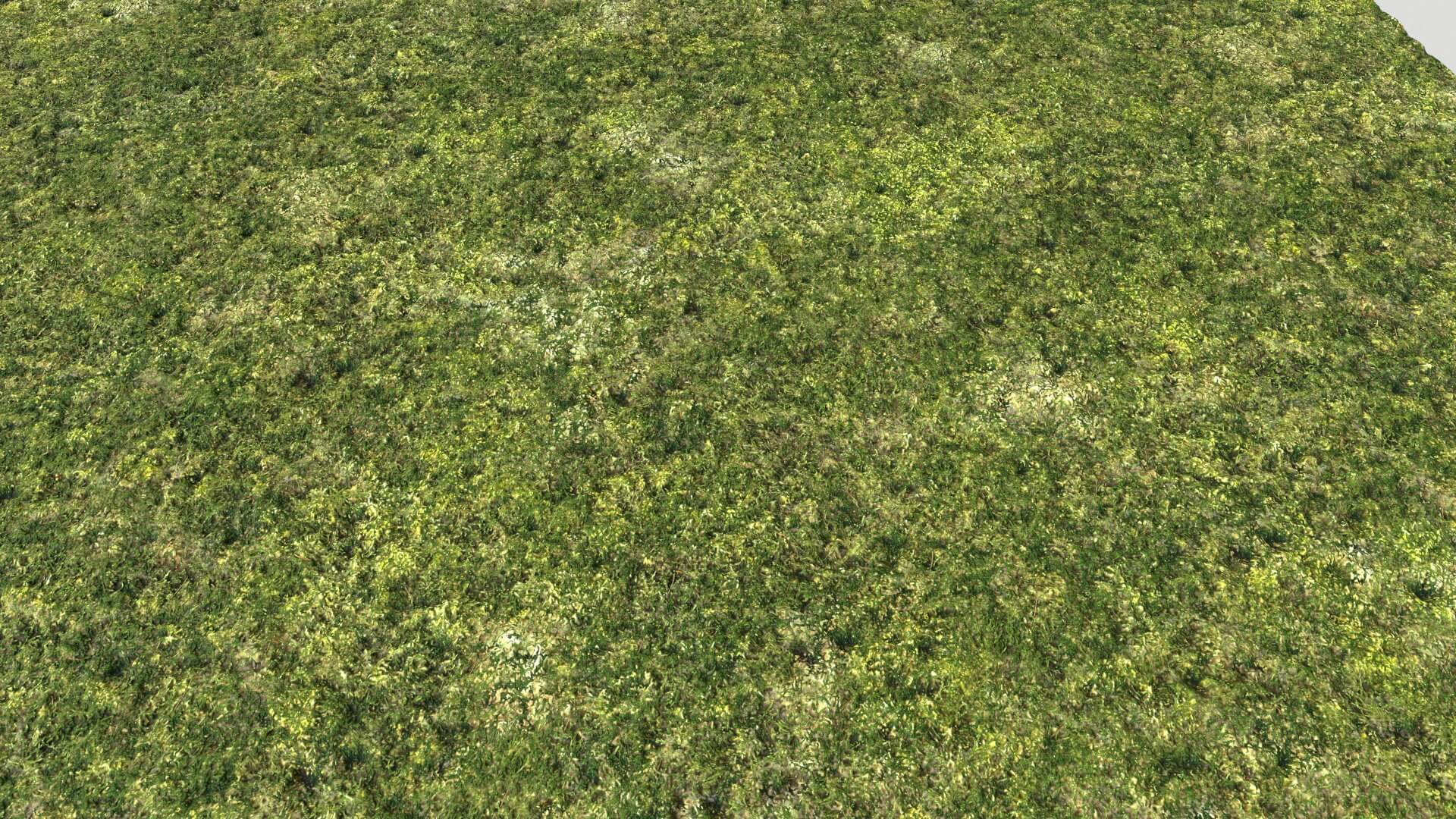 Moss Pack 1 - 3D Texture by 32cm