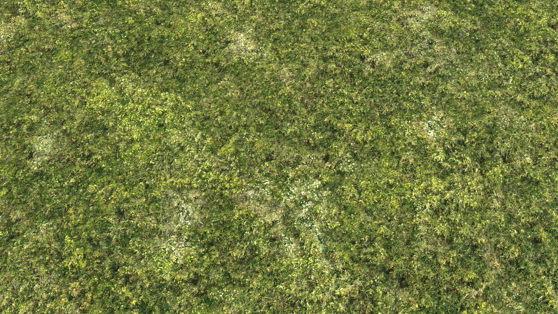 Moss Pack 1 - 3D Texture by 32cm