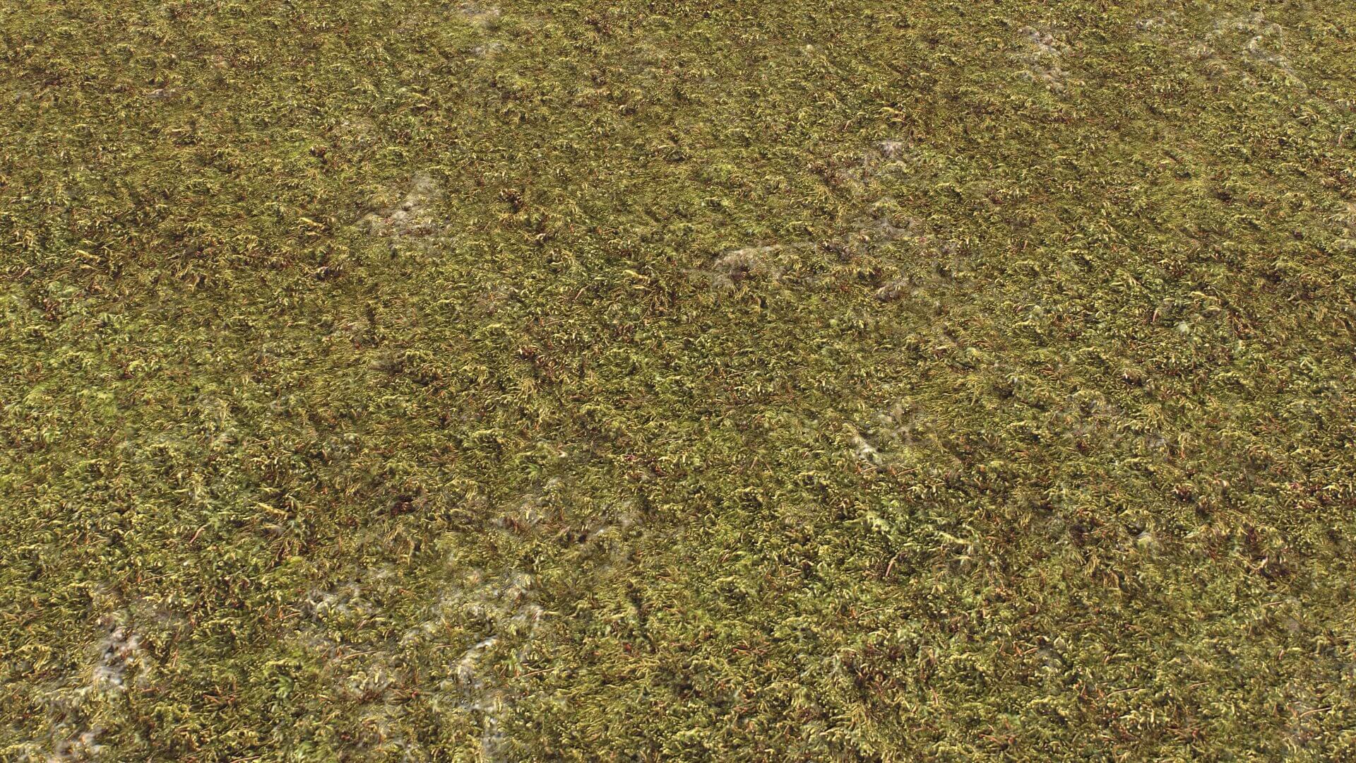 Moss Pack 1 - 3D Texture by 32cm