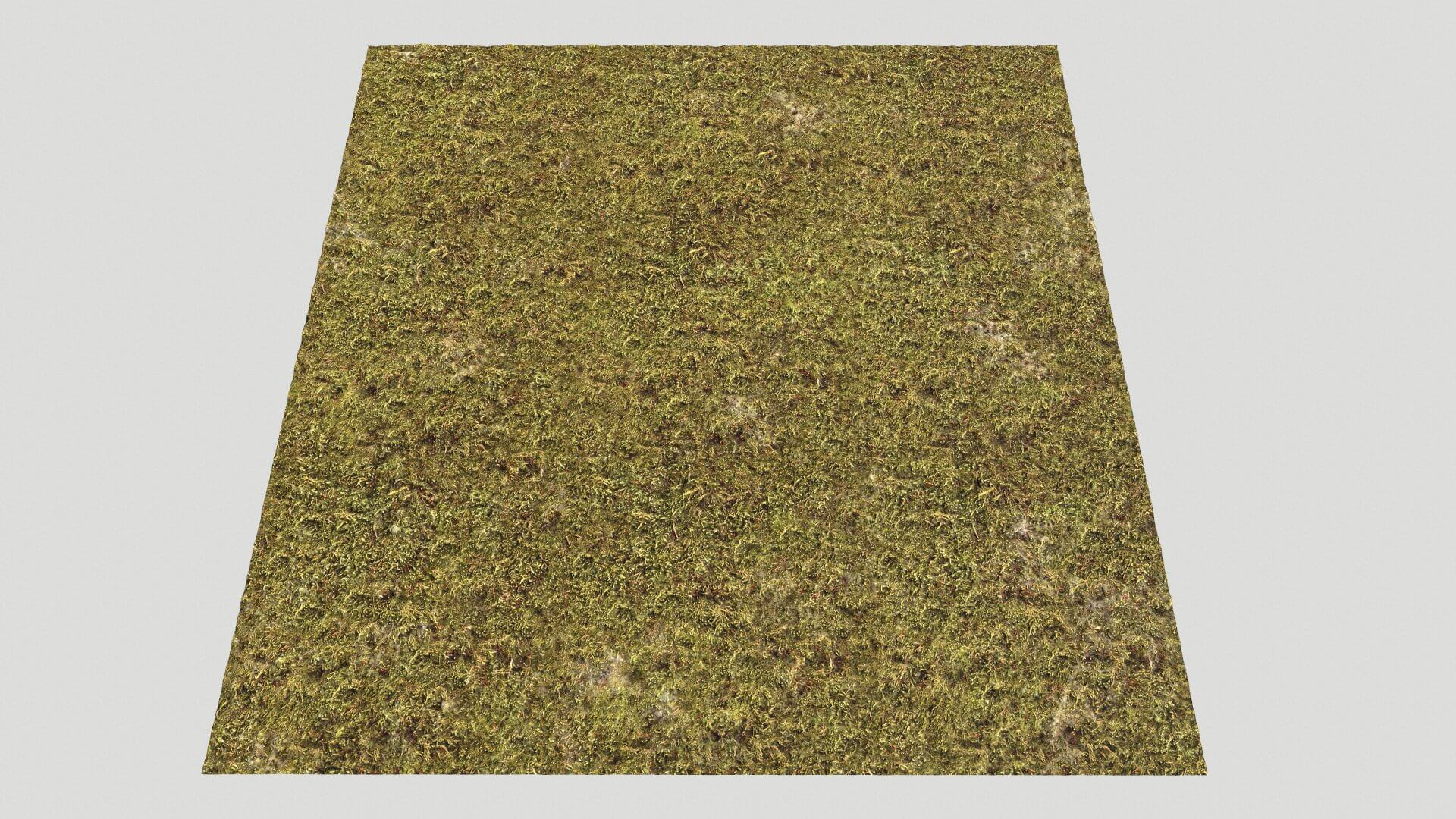 Moss Pack 1 - 3D Texture by 32cm