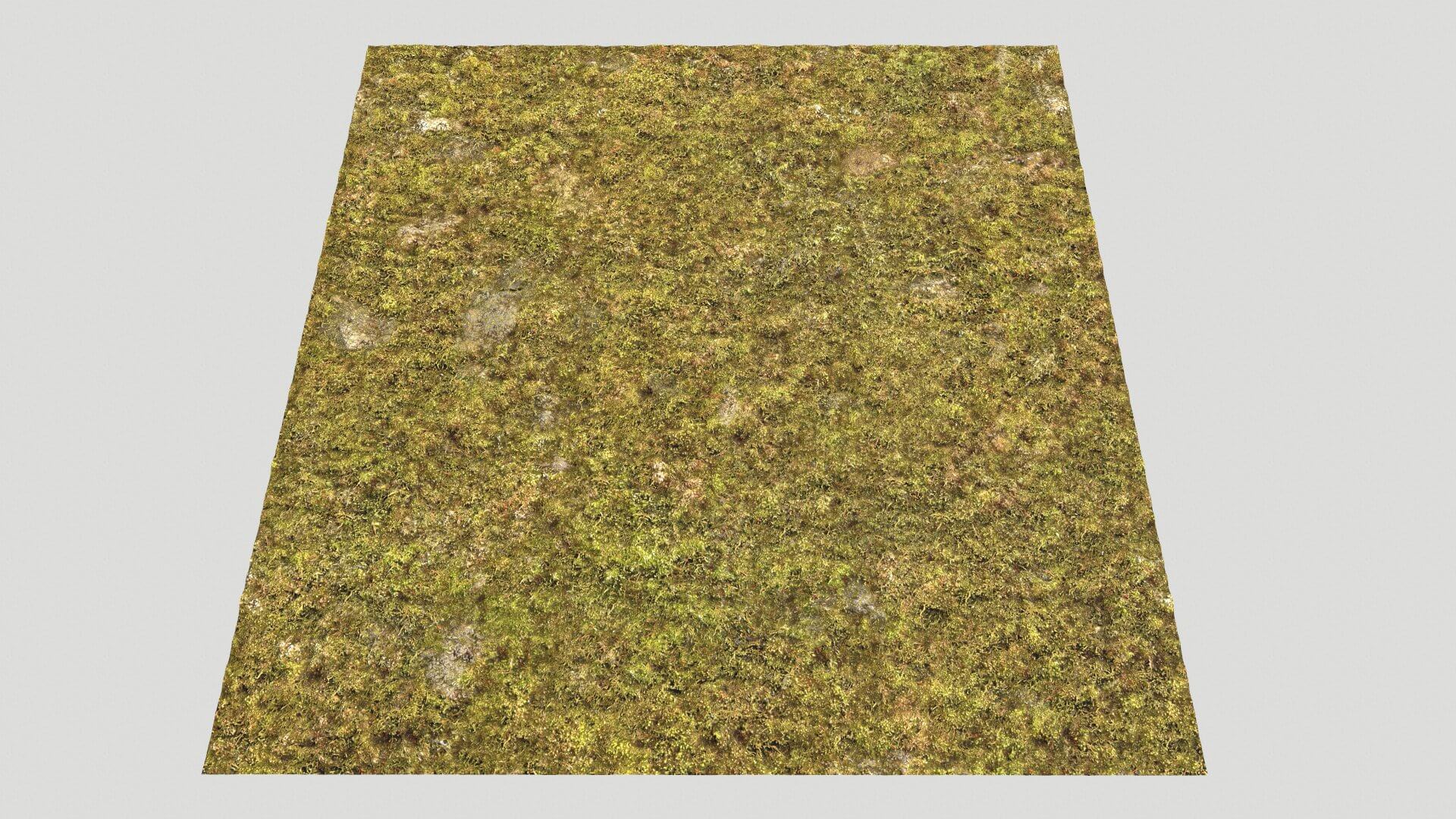 Moss Pack 1 - 3D Texture by 32cm