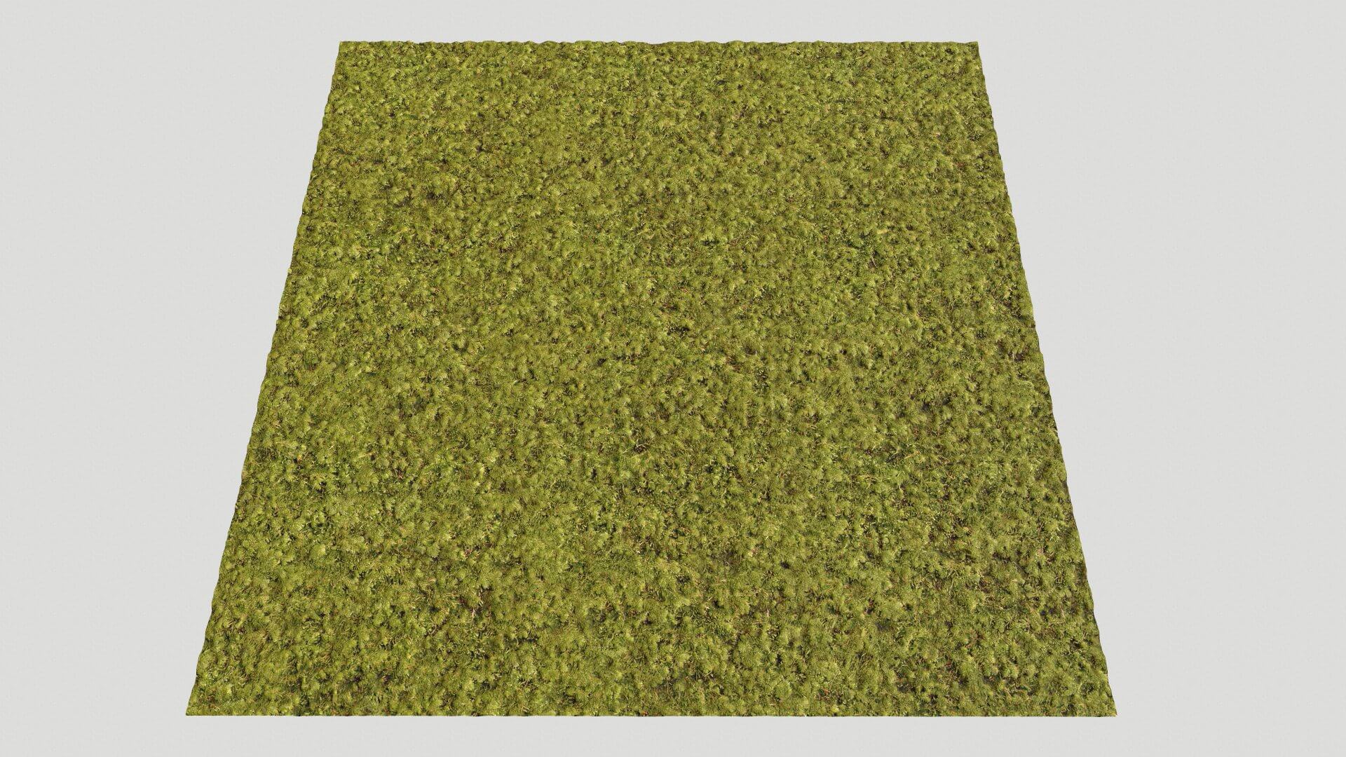 Moss Pack 1 - 3D Texture by 32cm