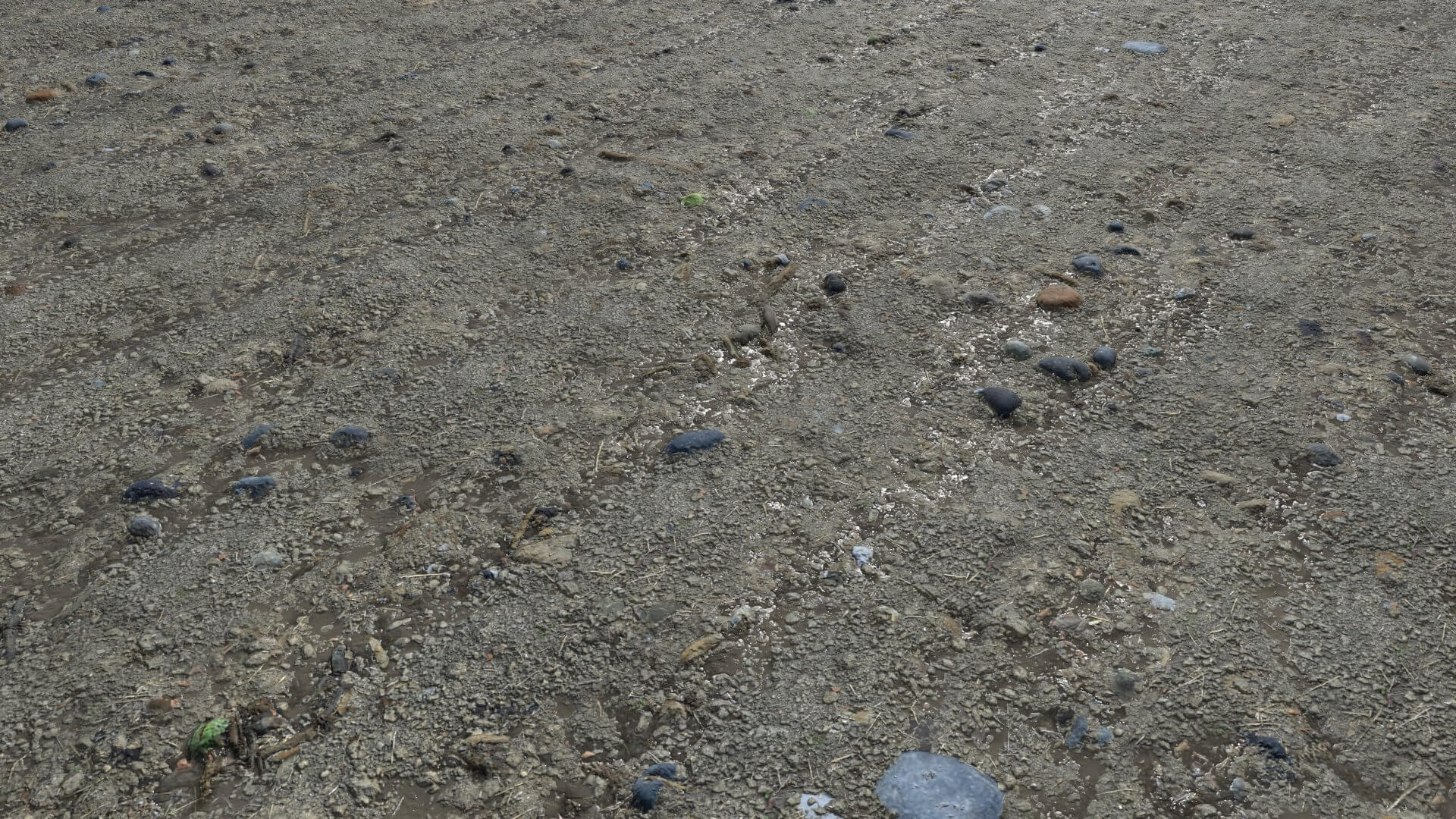 Muddy Terrain and Puddles 4 PBR - 3D Texture by 32cm