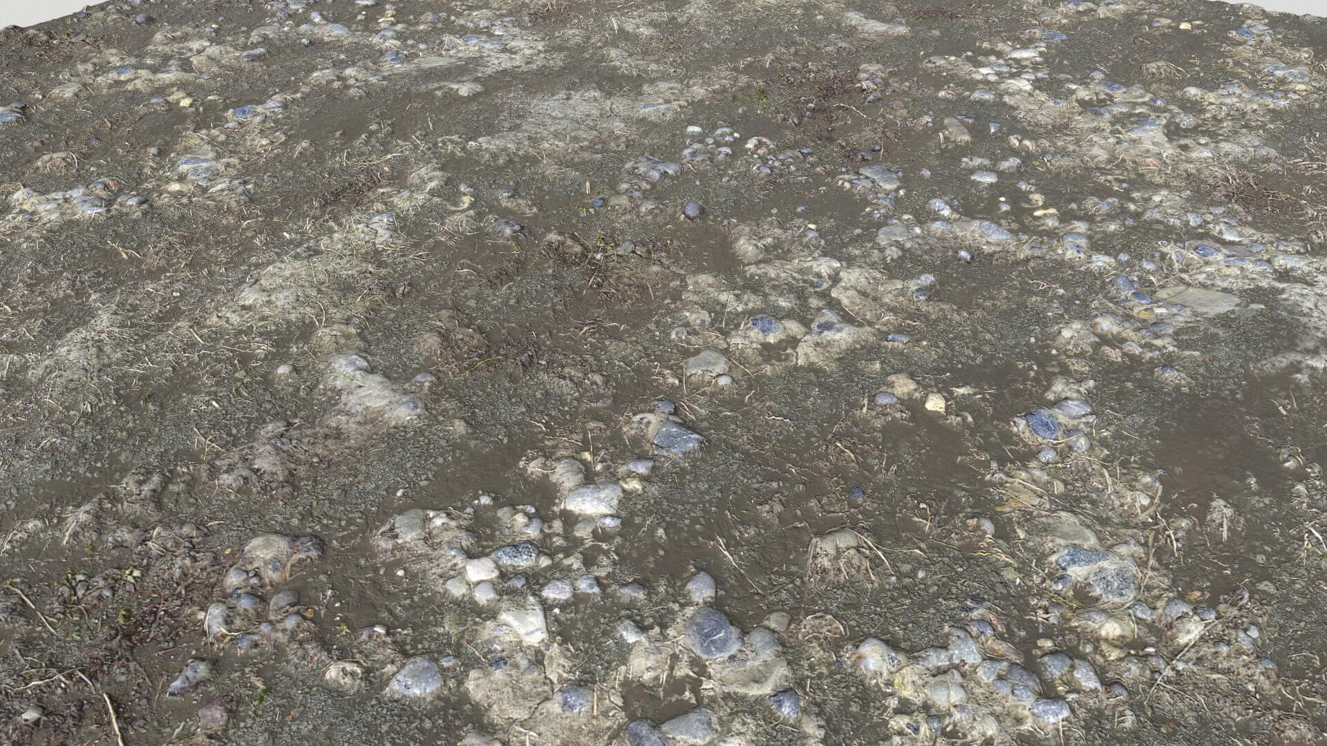 Muddy Terrain and Puddles 4 PBR - 3D Texture by 32cm