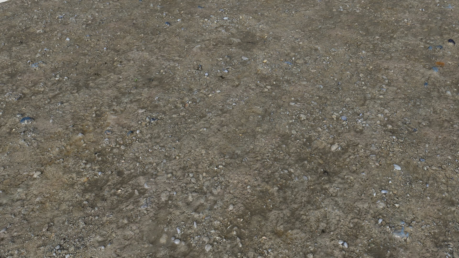 Muddy Terrain and Puddles 4 PBR - 3D Texture by 32cm