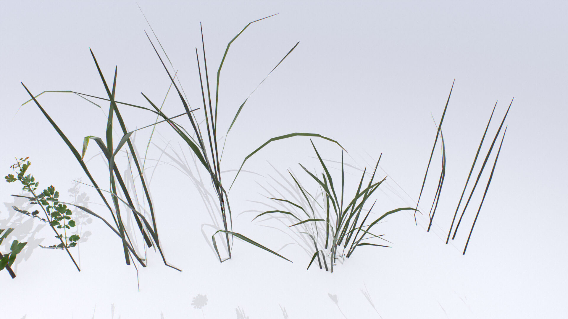 Tall Plants Pack - 3D Model by 32cm