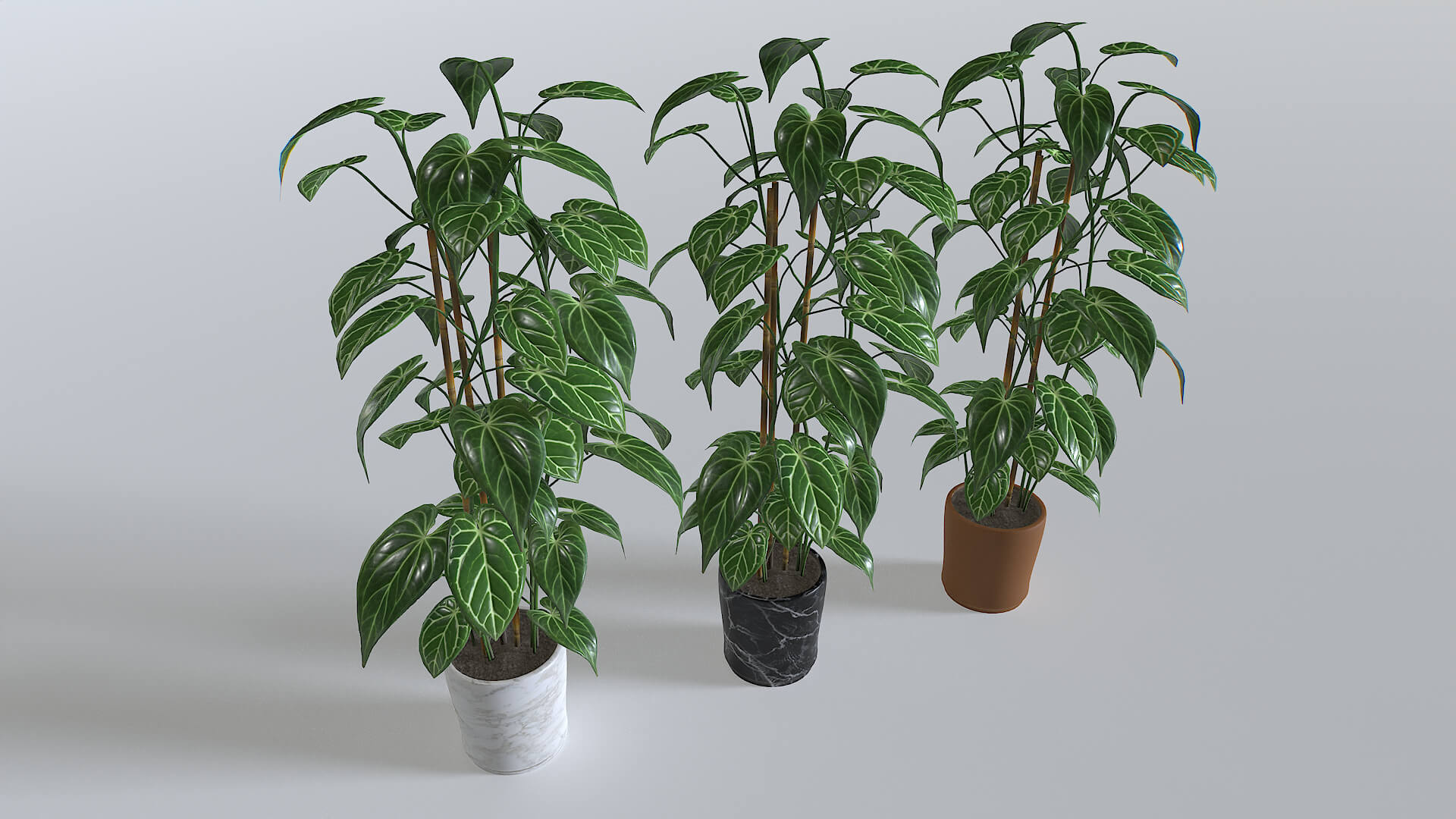 Pot Tropical Plant 1 - 3D Model by 32cm