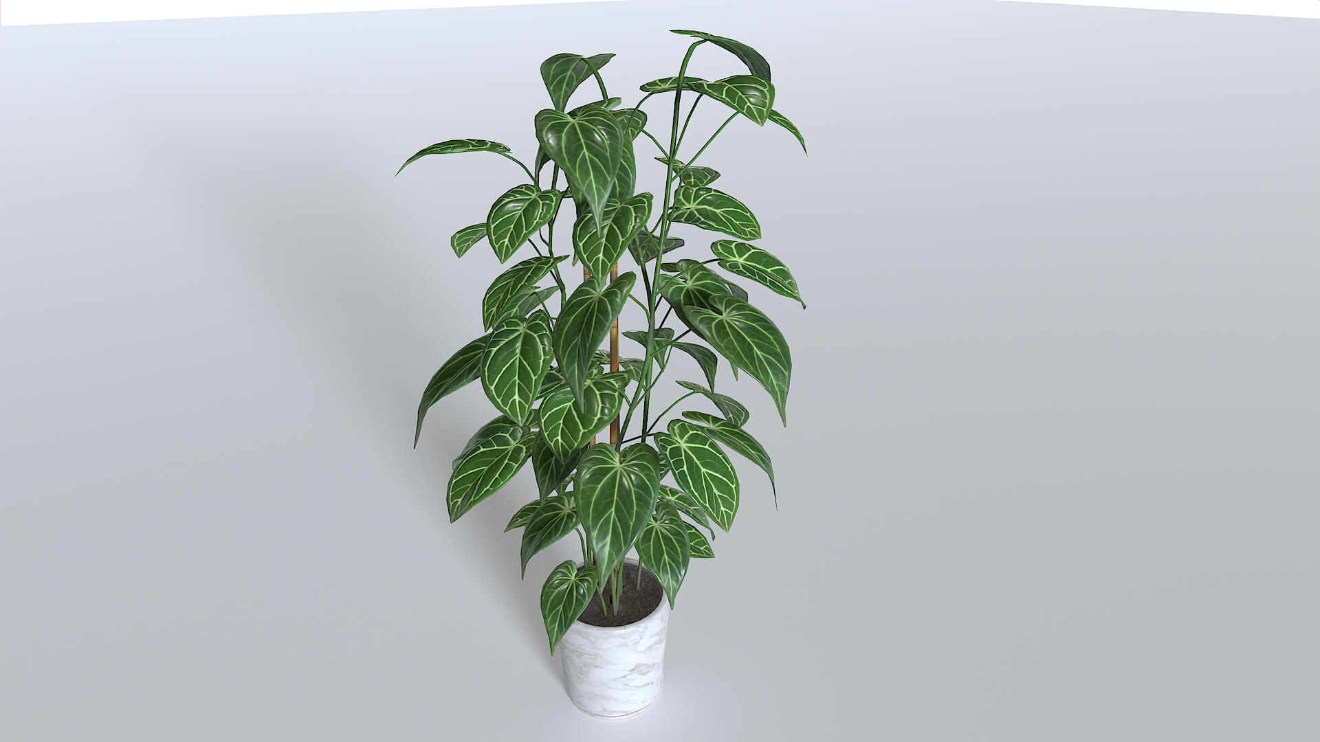 Pot Tropical Plant 1 - 3D Model by 32cm