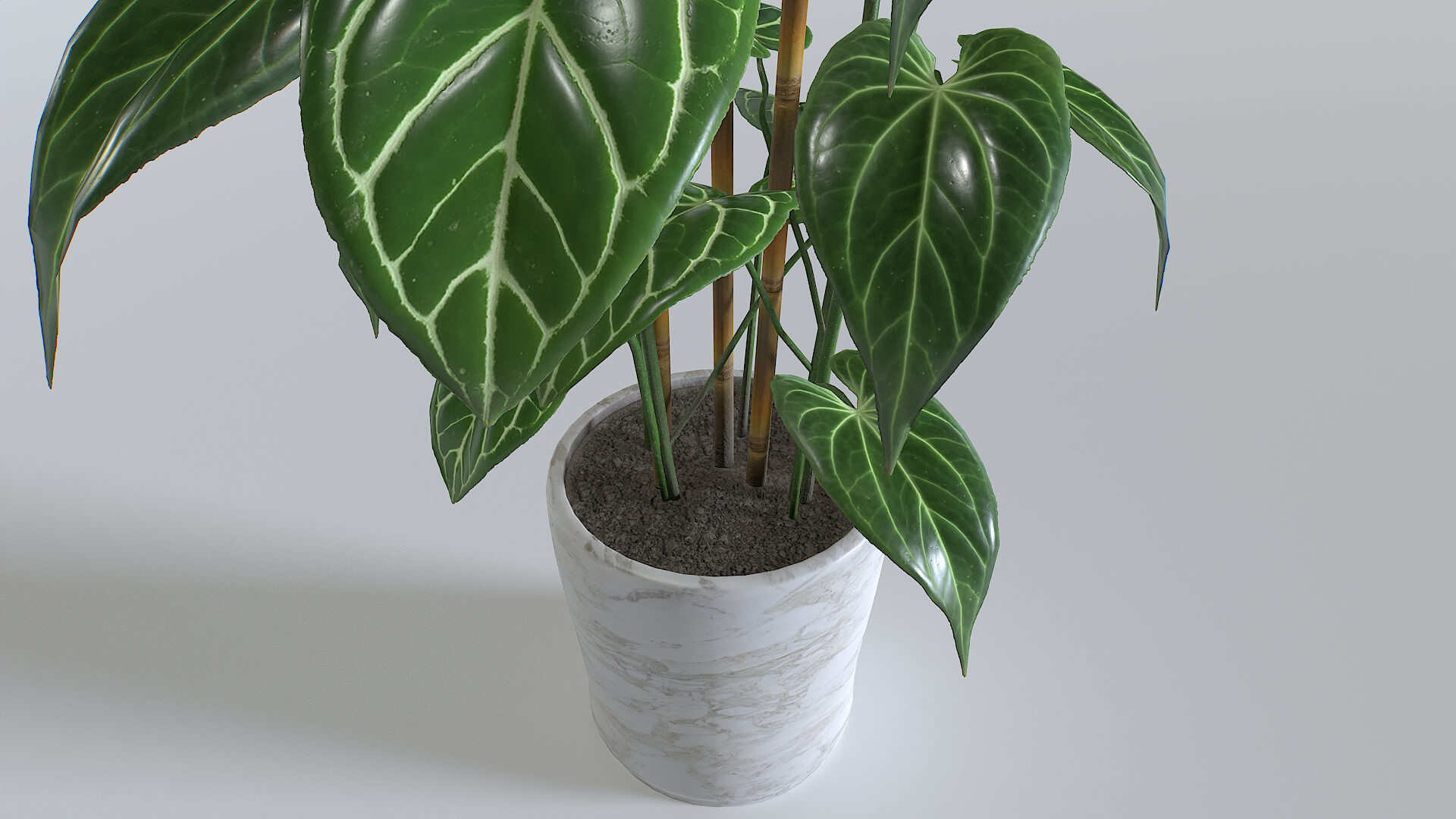 Pot Tropical Plant 1 - 3D Model by 32cm