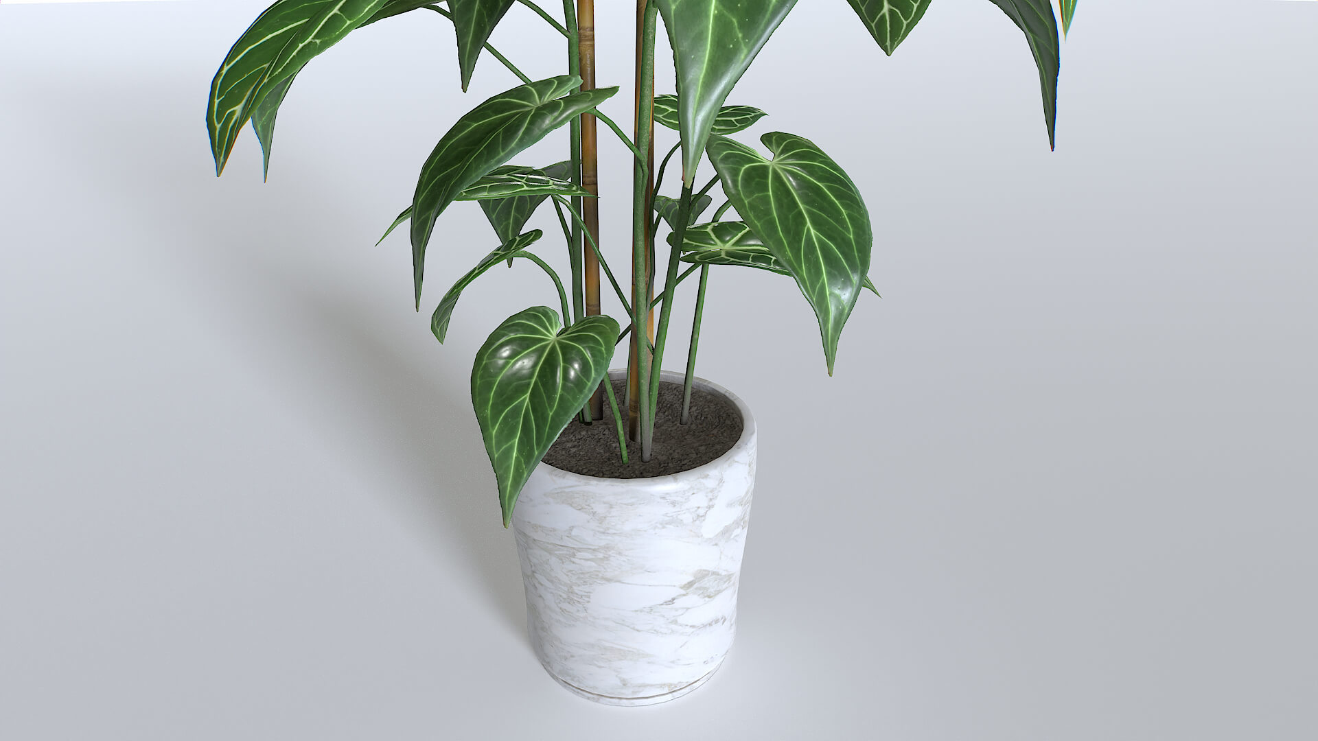 Pot Tropical Plant 1 - 3D Model by 32cm