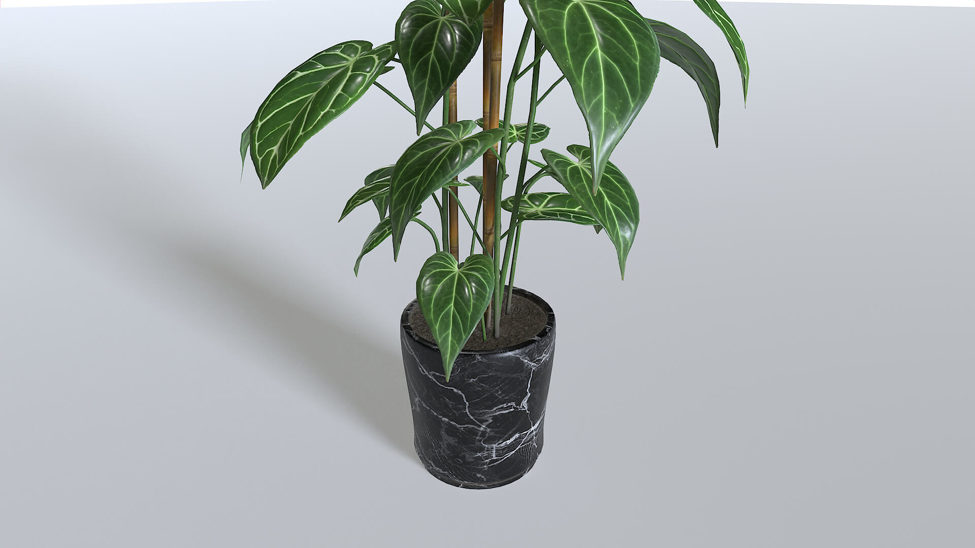 Pot Tropical Plant 1 - 3D Model by 32cm