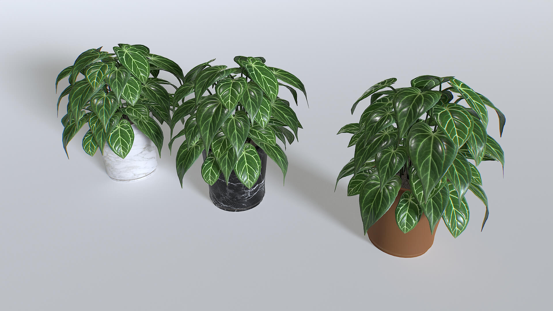 Pot Tropical Plant 3 - 3D Model by 32cm