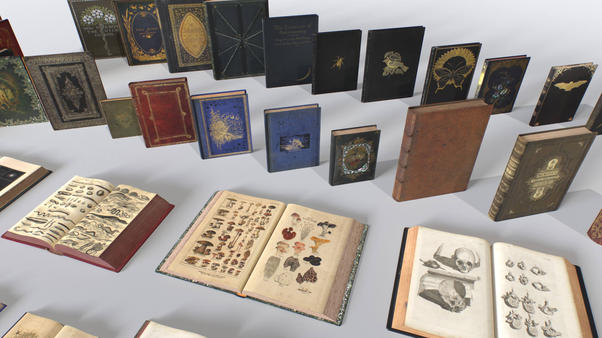 RPG Books PBR - 3D Model by 32cm