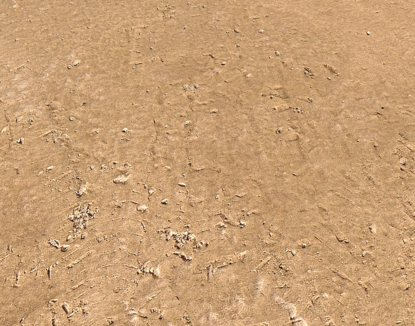 Sand Terrain PBR Pack 6 - 3D Texture by 32cm