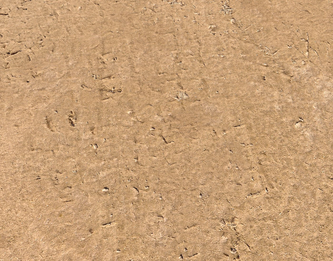Sand Terrain PBR Pack 6 - 3D Texture by 32cm