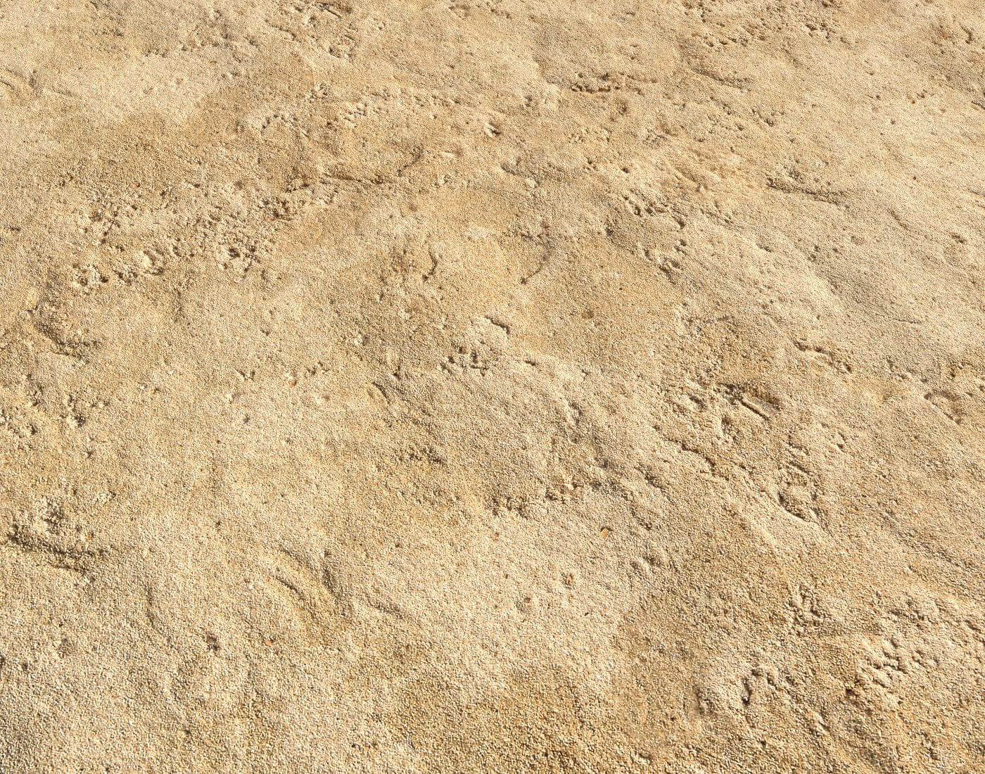 Sand Terrain PBR Pack 6 - 3D Texture by 32cm
