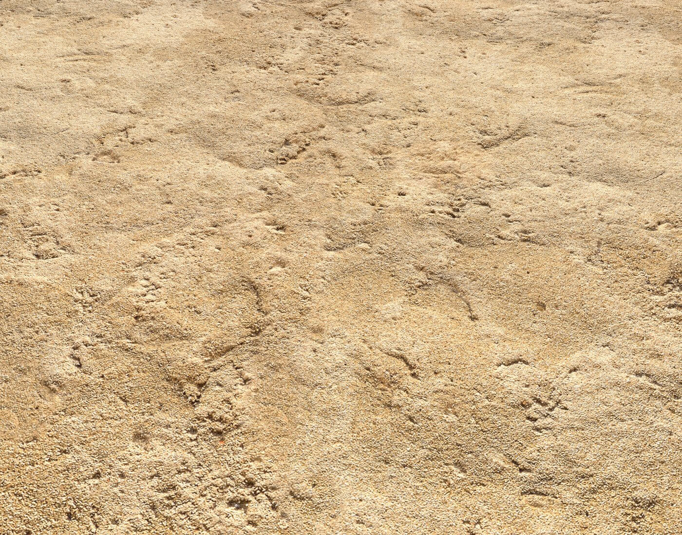 Sand Terrain PBR Pack 6 - 3D Texture by 32cm