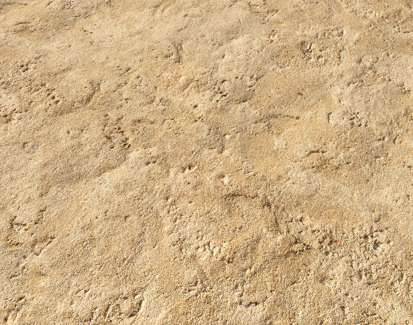 Sand Terrain PBR Pack 6 - 3D Texture by 32cm